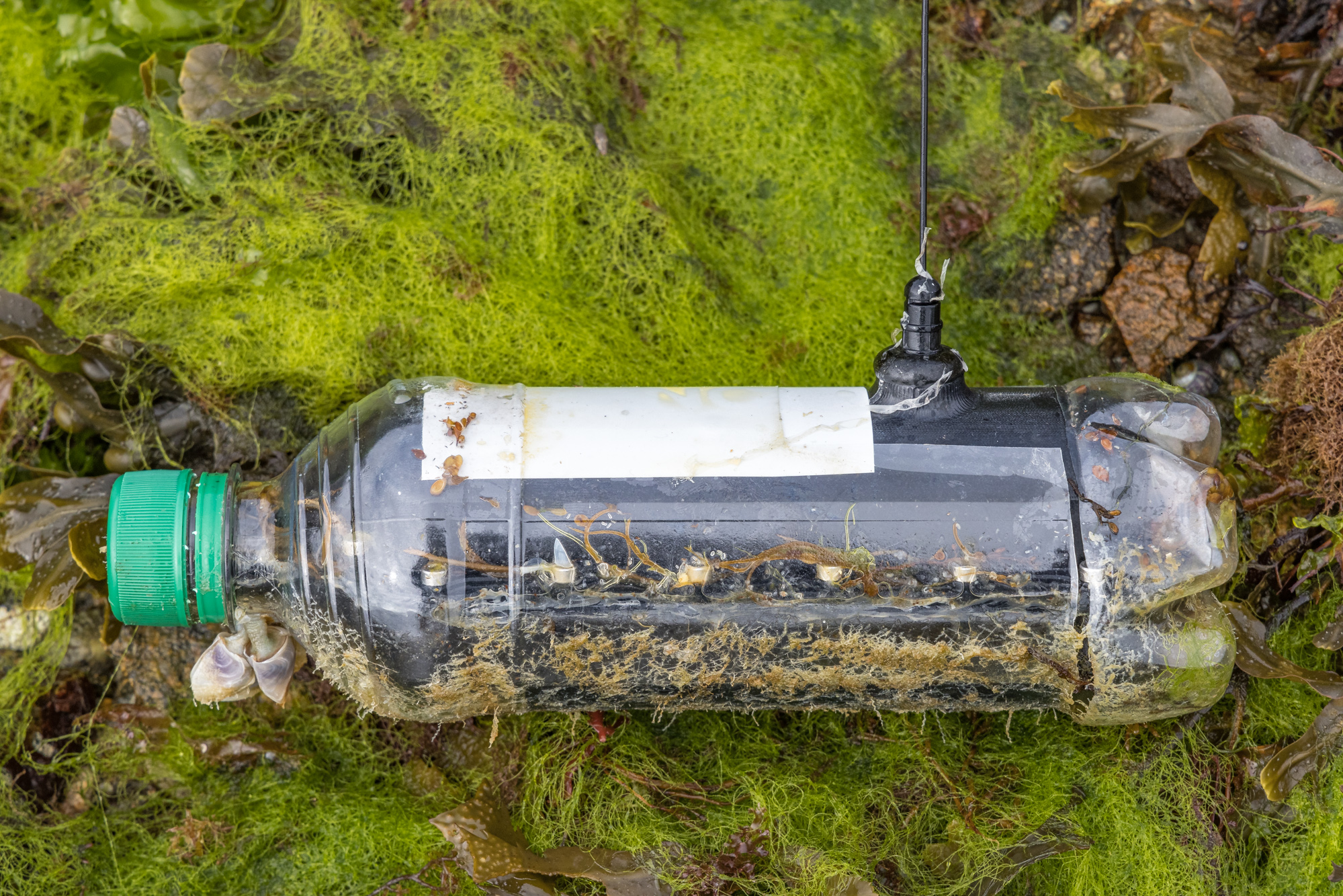 A BOTTLE FROM OCEAN TRACKING EXPERIMENT LANDS IN GUERNSEY - OneLessBottle